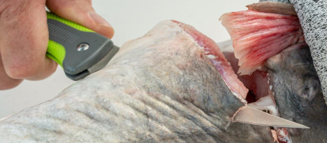 Five Essential Tools for Angling Adventures – Smith's Products UK